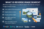 Reverse Image Search: How to Find Image Sources, Verify Photos, and ...